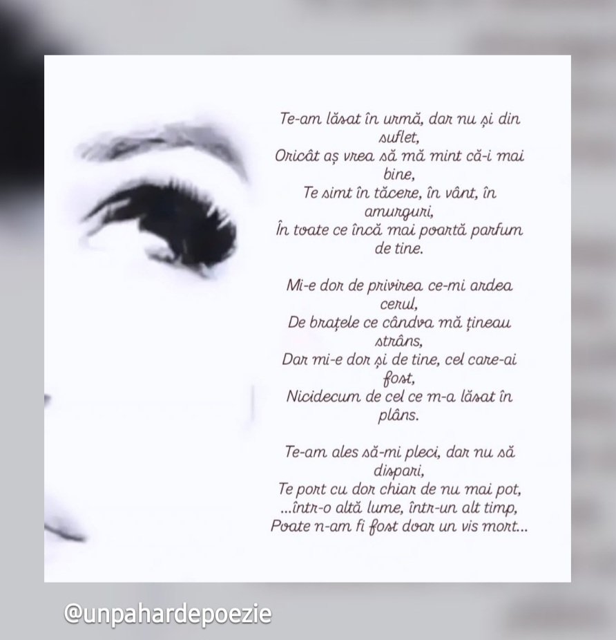 Poezia Te-am lăsat, Autor un-pahar-de-poezie - poezii.online